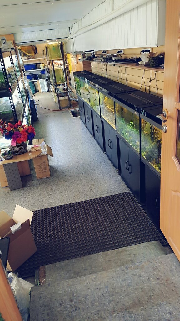 Petshop Vizoovi, Moskova, foto