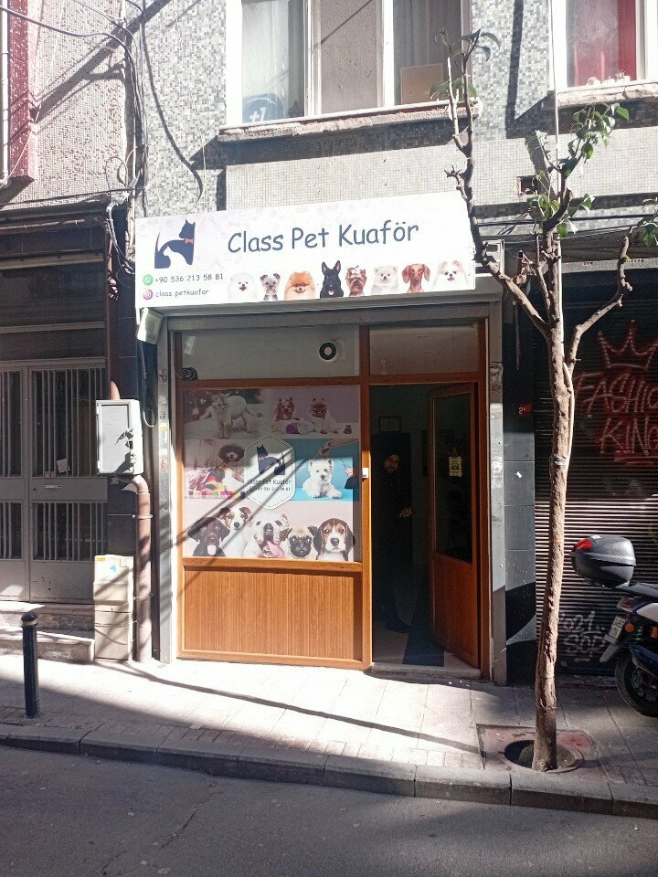 Petshop Class Pet Kuaför, İstanbul, foto