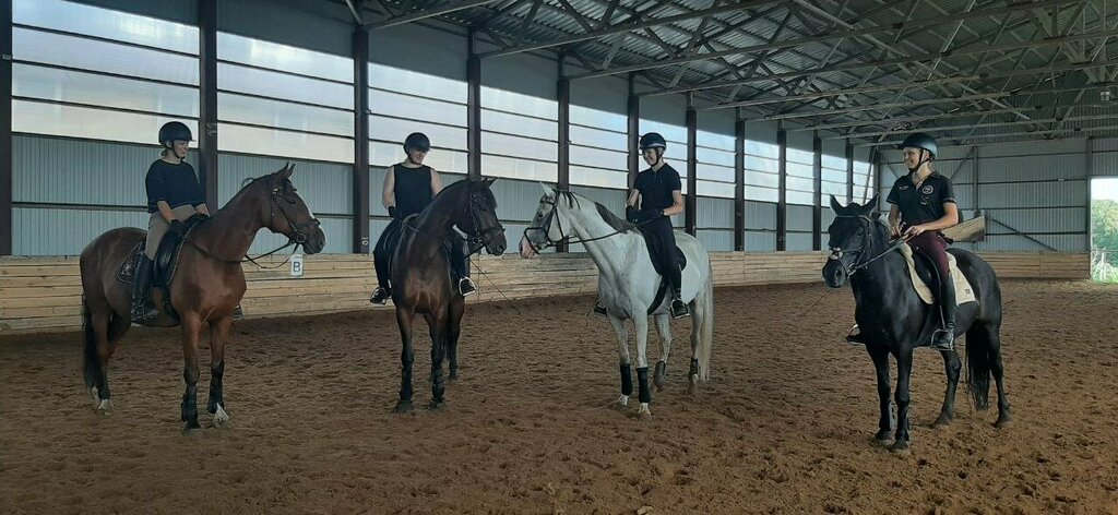 At ve binicilik kulüpleri Школа верховой езды Moony Unicorn, Moskova ve Moskovskaya oblastı, foto