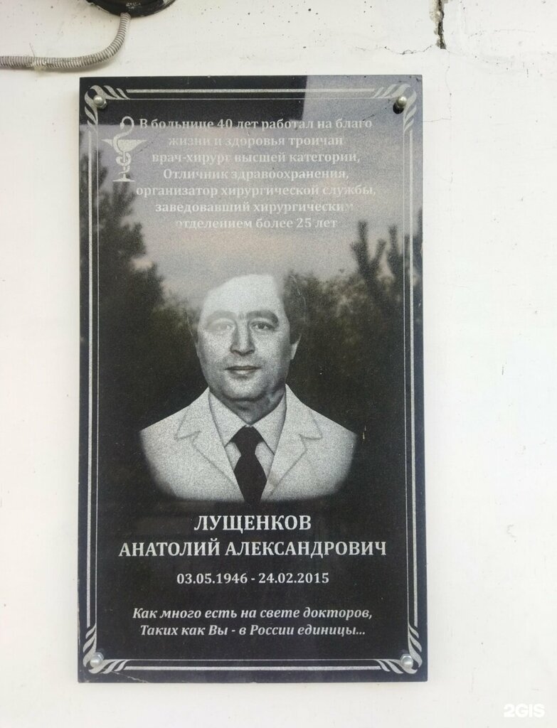 Anıt levhası, anıt taş Заведующему хирургическим отделением Анатолию Александровичу Лущенкову, Troitsk, foto