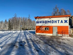 Шиномонтажная мастерская (улица Строителей No:101, село Покосное), otomobil servisi  İrkutskaya oblastından