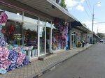 Syringa (Grigor Hasratyan Street No:10/4), çiçekçiler  Erivan'dan