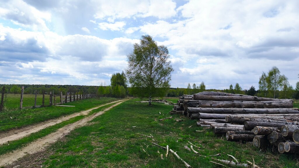 Dağ zirvesi Гора Лысая 198 метров, Smolenskaya oblastı, foto