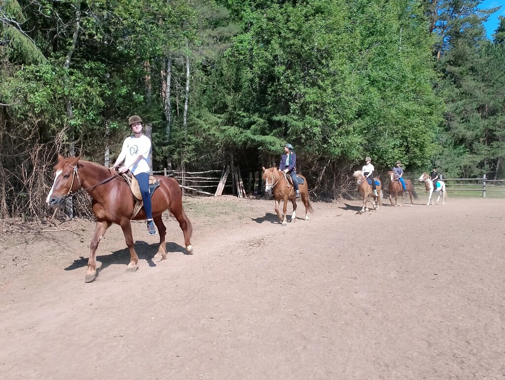 Resort oteller, tesisler Дом отдыха, Permski krayı, foto