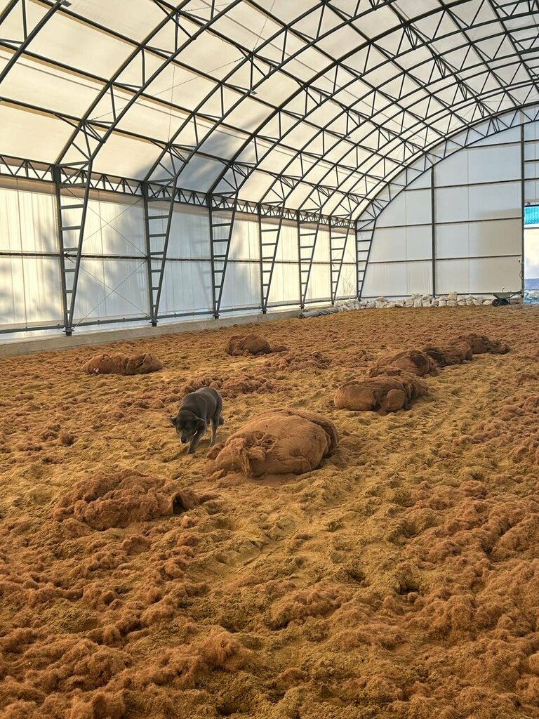 At ve binicilik kulüpleri Семейное подворье Ириния, Moskova ve Moskovskaya oblastı, foto