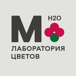 The Flower Molecule (Bolshaya Oktyabrskaya Street No:37/1), çiçekçiler  Yaroslavl'dan