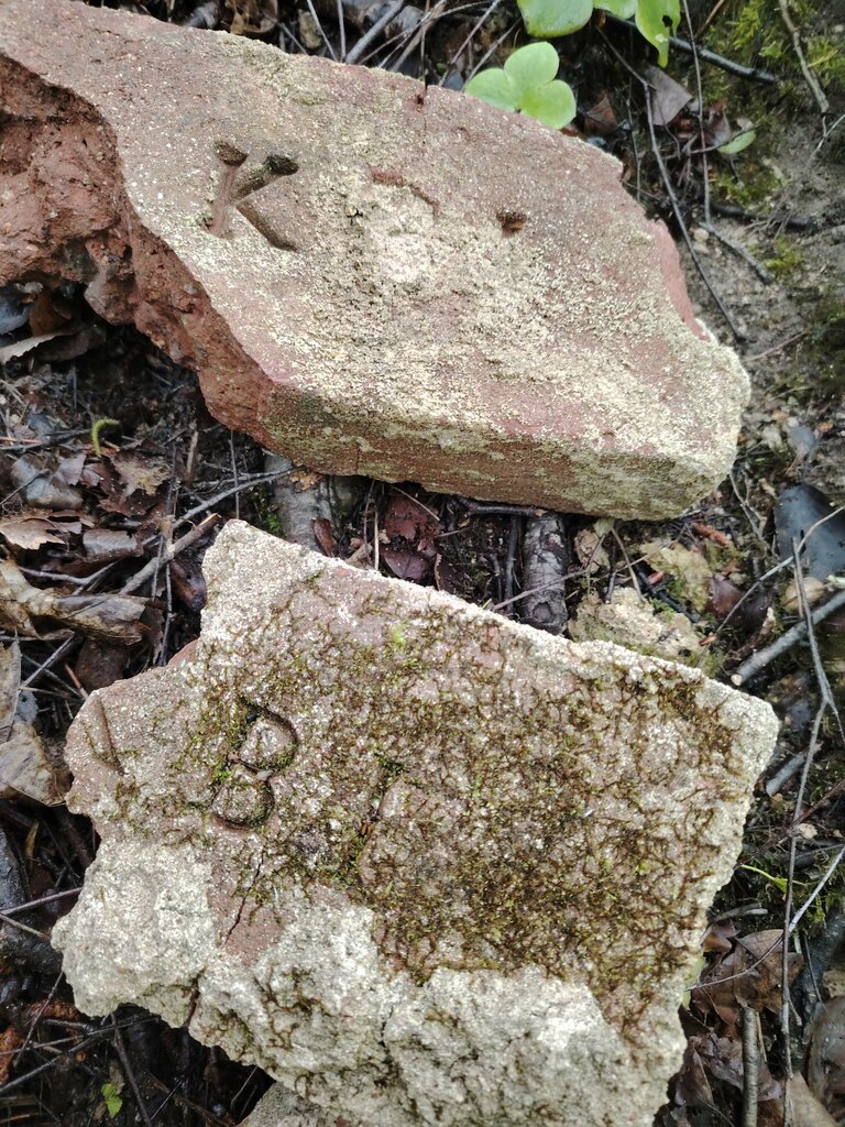 Turistik yerler Печи завода Юнемана, Saint‑Petersburg ve Leningradskaya oblastı, foto