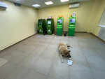 СберБанк (ulitsa Chernyshevskogo No:31), ödeme terminali  Serpuhov'dan