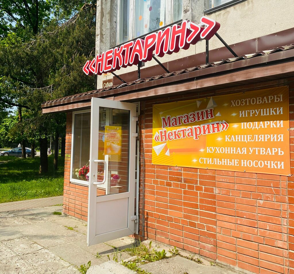 Ucuzluk mağazası Нектарин, Sosnoviy Bor, foto