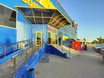 Fish Department (Karbyshev kóshesi No:85), balık ve deniz ürünleri  Kostanay'dan