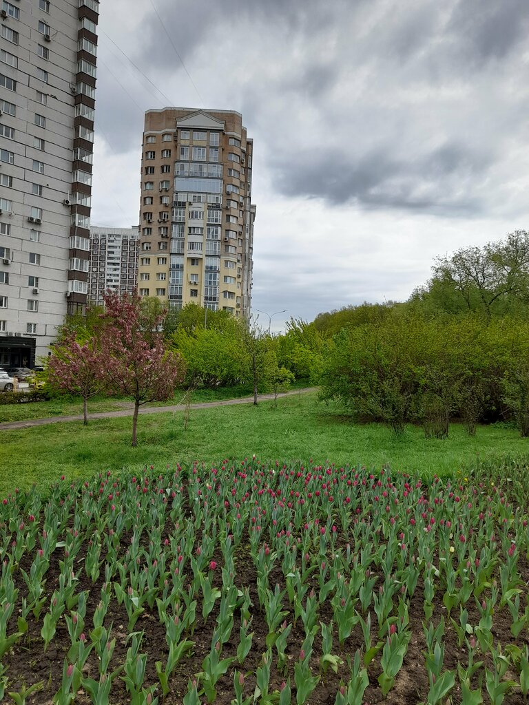 Turistik yerler Парадный двор, Moskova, foto