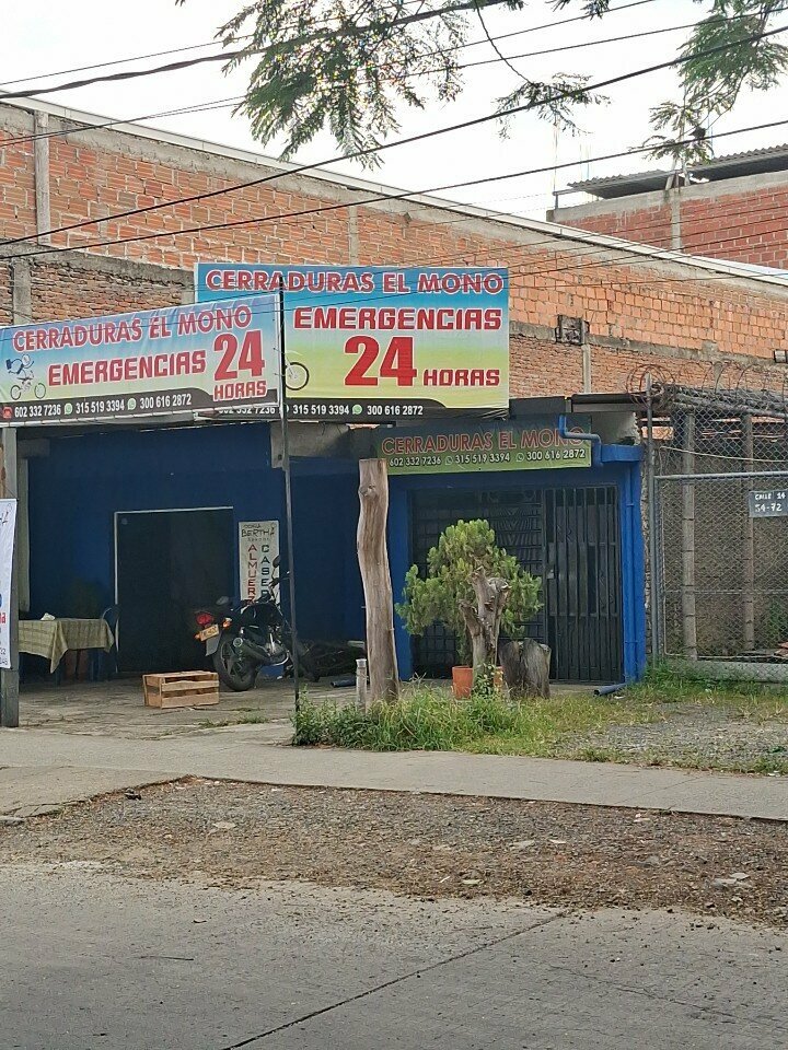 Çilingirler The monkey, Cali, foto