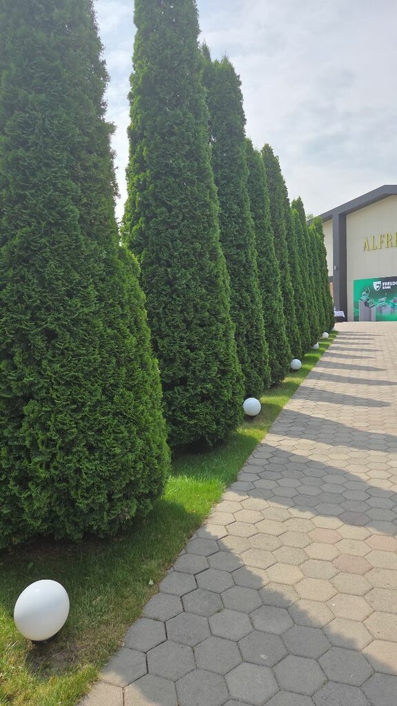 Saunalar Alfresco Openair, Almatı eyaleti, foto