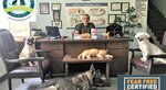 Active Kennel (Ankara, Gölbaşı, Karşıyaka Mah., Haymana Blv., 16/1), hayvanat bahçesi merkezi  Ankara'dan