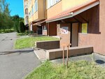 Игрушки (ulitsa Gorbunova No:1, mikrorayon Chkalovsk), çocuk oyunları ve oyuncakları  Kaliningrad'dan