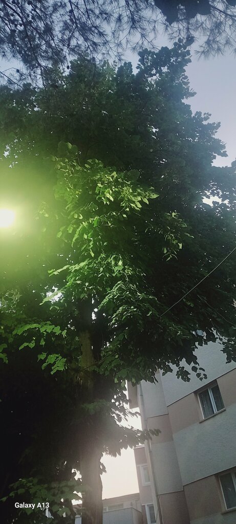 Kültür ve eğlence parkları Parklar ve ormanlar, Bursa, foto