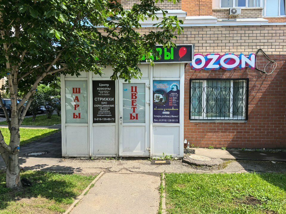 Teslimat noktası Ozon, Moskova, foto