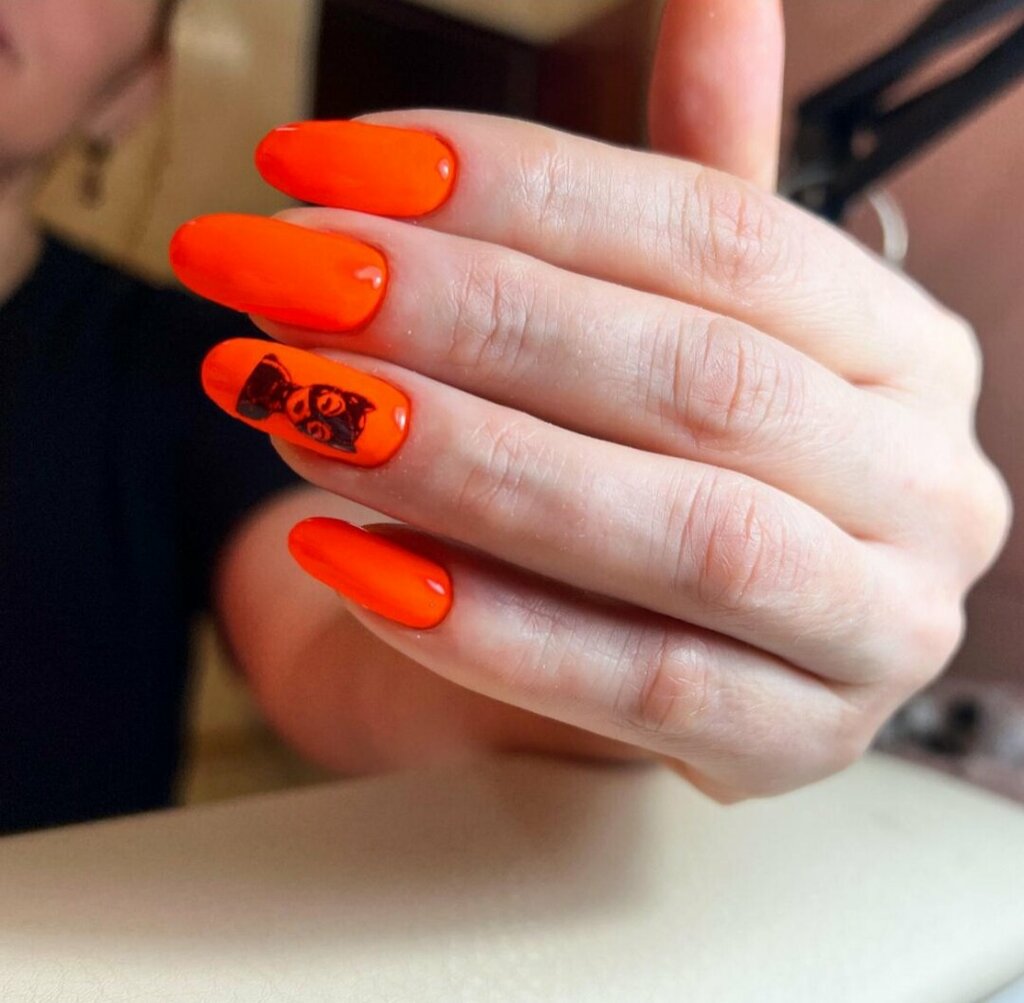 Güzellik salonu Mari Nail, Vladikavkaz, foto