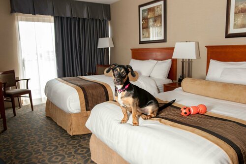 Otel Best Western Brantford Hotel & Conference Centre, Brantford, foto