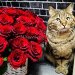 Flowers (Aleksandrovskaya ulitsa No:24А), çiçekçiler  Staraya Russa'dan