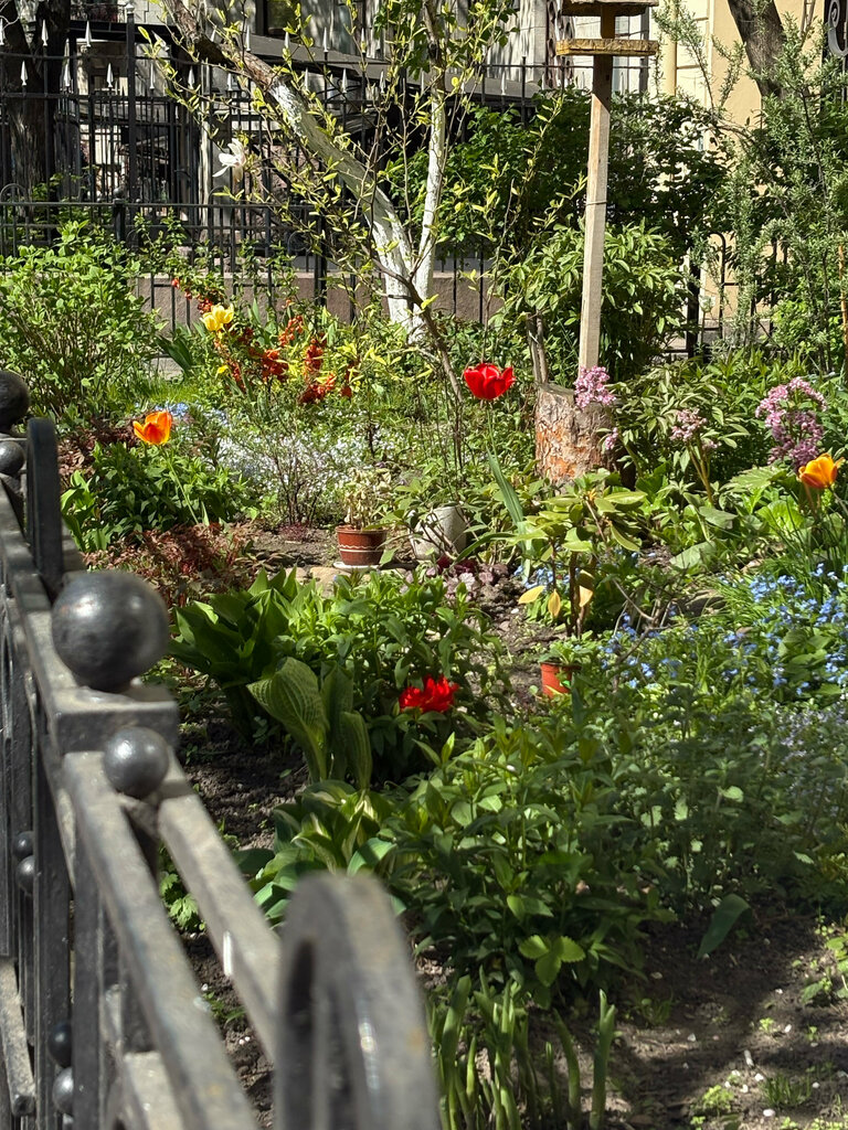 Turistik yerler Доходный дом Ф.Ю. Кана, Saint‑Petersburg, foto