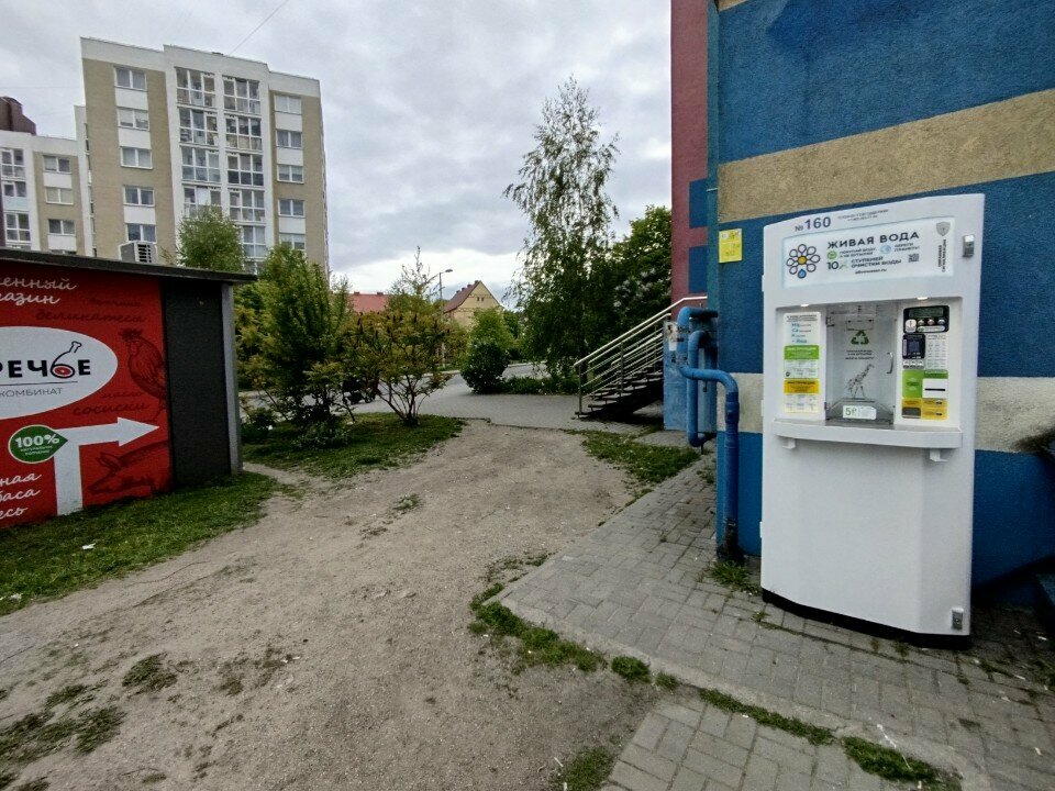 Su satışı Живая вода, Kaliningrad, foto