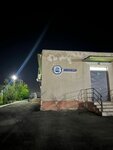 Adilet Order Forensic Expertise Center of the Republic of Kazakhstan (Turkistan, Jańa Qala shaǵyn aýdany), belediyeler, devlet daireleri  Türkistan'dan