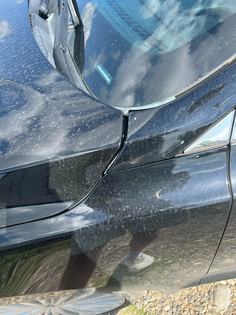 Otomobil servisi Brandal Service, Tiflis, foto