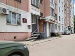 Новый Вектор (1-y Televizionny proyezd No:3), konut servisleri kuruluşları  Saratov'dan