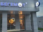 Бегемот (Nikolaya Ostrovskogo Street No:29), kahve dükkanları  Belgorod'dan