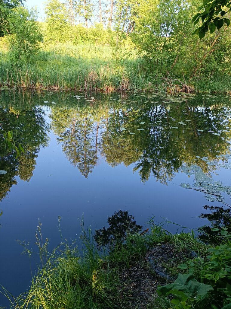 Plaj Пляж, Kurskaya oblastı, foto