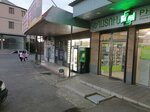 Basen Pharm (11th Street No:13, Geghanist village), eczaneler  Ararat'tan
