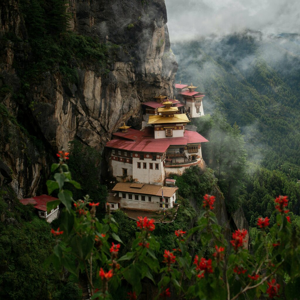 Seyahat acenteleri Discover Altitude Treks, Katmandu, foto