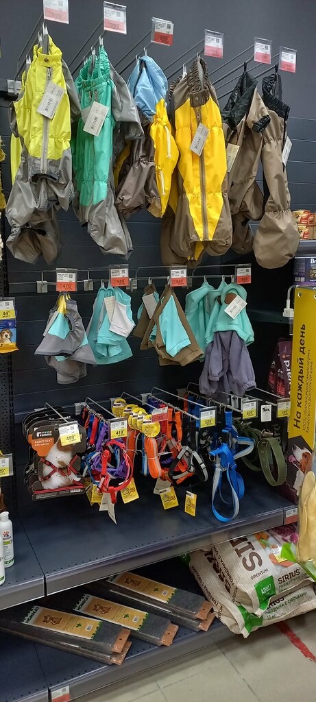 Petshop Lenta Zoomarket, Rostov‑na‑Donu, foto