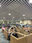 Бизнес-зал (Moscow Region, Domodedovo City District, Domodedovo Airport, 1А), salonlar ve bekleme alanları  Moskova ve Moskovskaya oblastından