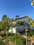 Ali Biçer (Ankara, Gölbaşı, Yavrucuk Mah., Haymana Kümeevler, 116), çiçekçiler  Ankara'dan