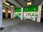 Oaza Zdravlja (Vojvode Stepe Street No:116), eczaneler  Belgrad'dan