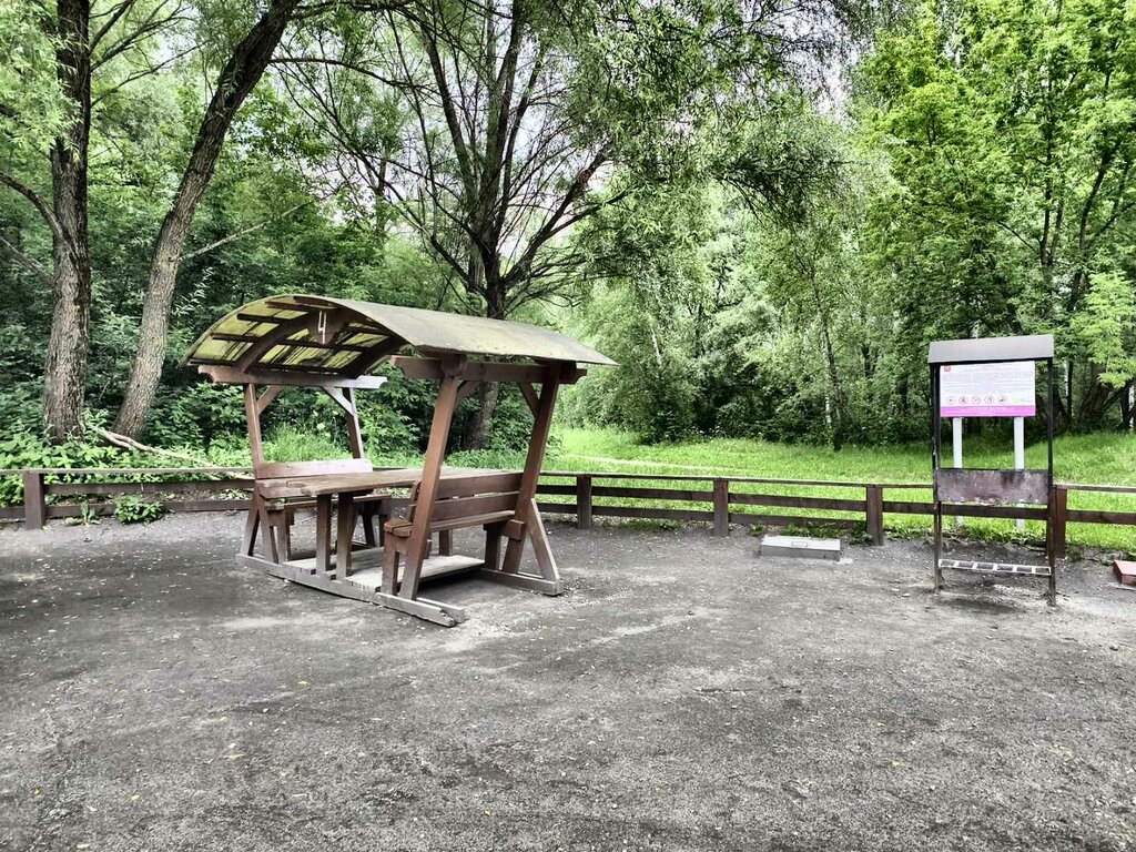Mangal veya barbekü alanı Беседка № 4, Moskova, foto