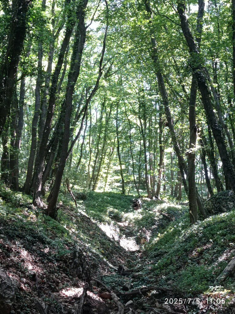 Pınar, çay Spring, stream, Kırım Cumhuriyeti, foto