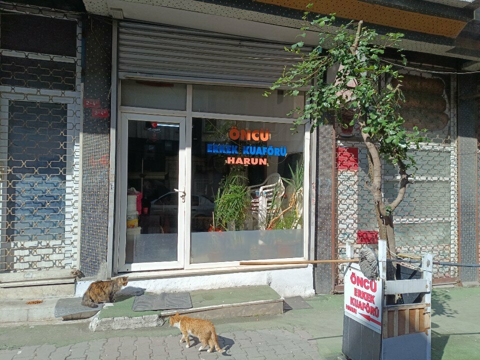 Berberler Öncü Erkek Kuaförü, İstanbul, foto