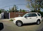 Vivero La Bolivianita (Department of Cochabamba, Provincia de Cercado, Cochabamba, Calle Lucas Mendoza de la Tapia), bahçecilik mağazaları  Cochabamba'dan