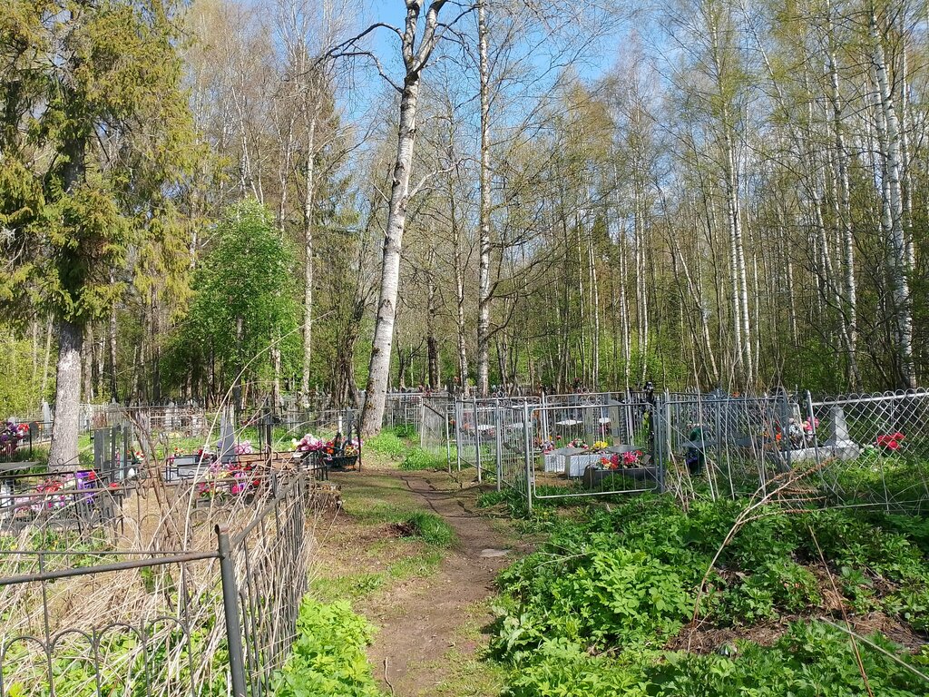 Mezarlıklar Благовещенское кладбище, Yaroslavskaya oblastı, foto