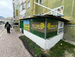 Геометрия груминга (No:12, 203rd Microdistrict), evcil hayvan kuaförleri  Yakutsk'tan