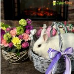 Cyber Flora (Pyatigorskaya ulitsa No:115А), çiçekçiler  Essentuky'den