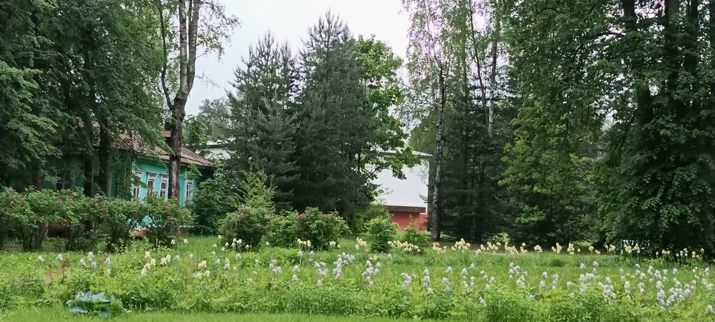 Tatil altyapısı Санаторий Щелыково, корпус Берендей, Kostromskaya oblastı, foto
