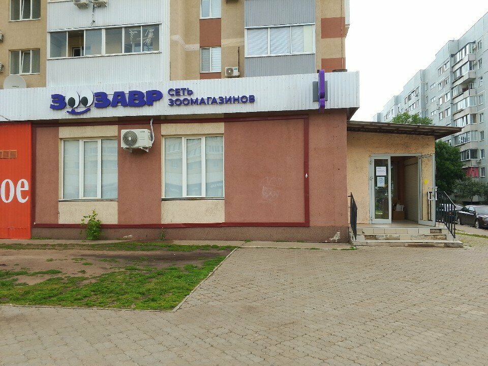 Petshop Zoozavr, Ulyanovsk, foto