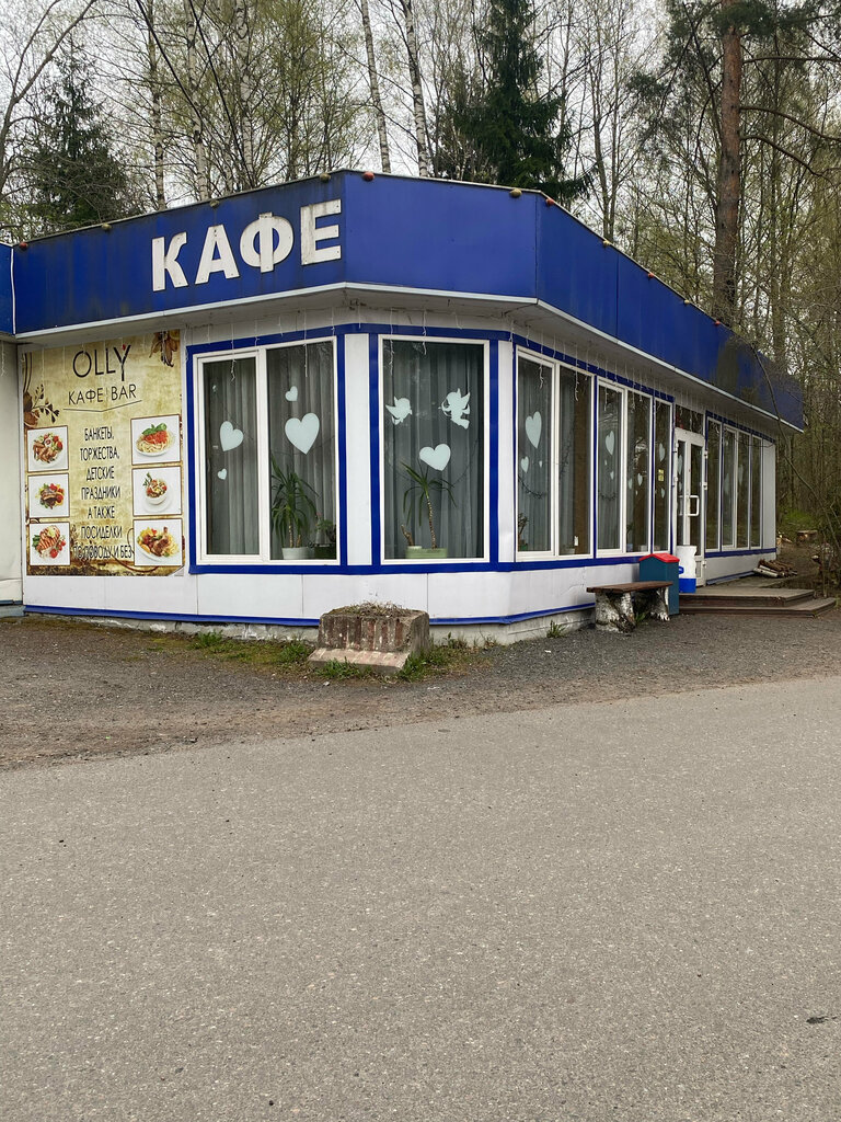 Kafe Мы у Виталича, Sertolovo, foto