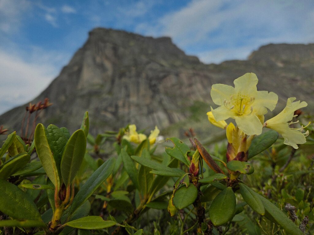 Dağ zirvesi Гора Волосы спящего Саяна, Krasnoyarski krayı, foto