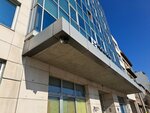 Zidar (Juzni bulevar No:1A), yapı mağazası  Belgrad'dan