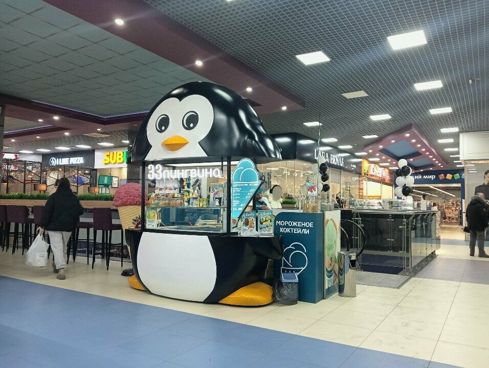 Dondurmacılar 33 Pingvina, Çita, foto